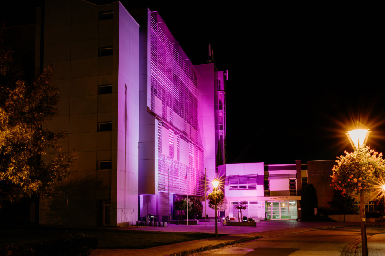 V nedeľu 15. októbra zasvietila budova TRUNI doružova | Trnavská ...